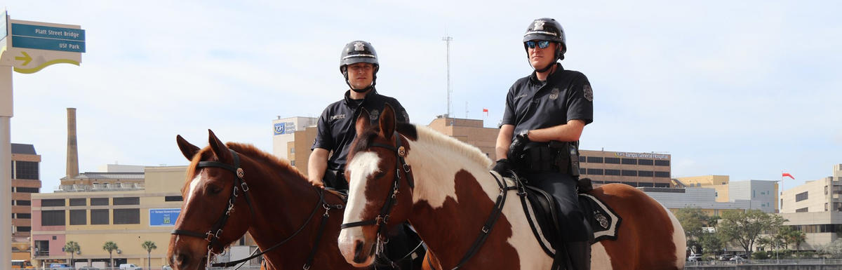 TPD Programs | City of Tampa