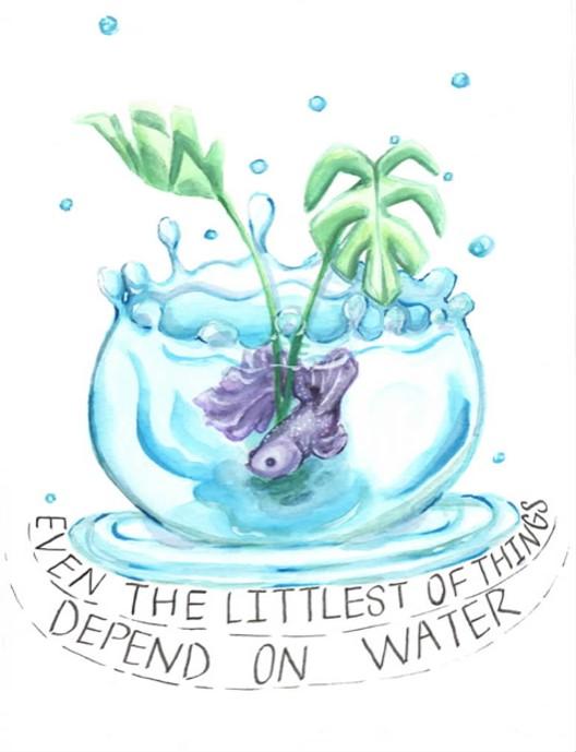 Drop Savers Poster Contest | City of Tampa