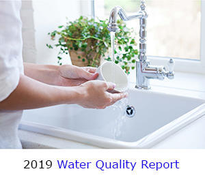 Current Water Quality Report | City of Tampa