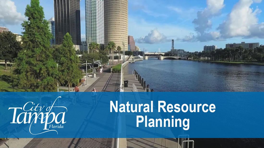 City Planning | City of Tampa