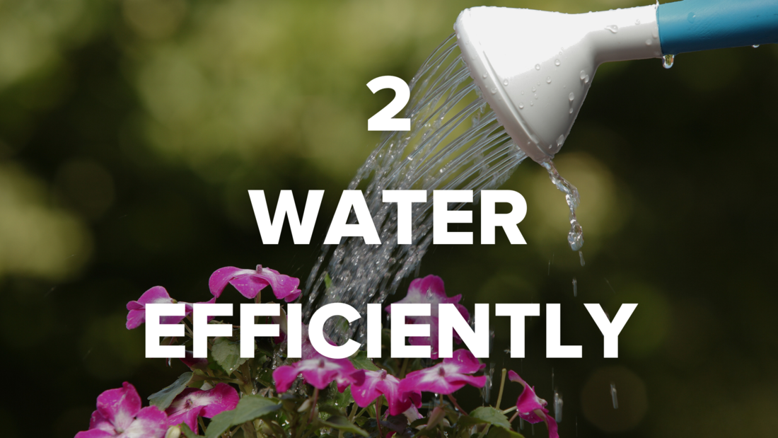 How to Water Smarter | City of Tampa