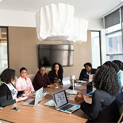 Small Business Navigator | City of Tampa