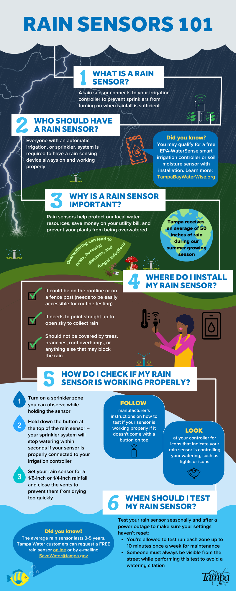 How to Water Smarter | City of Tampa