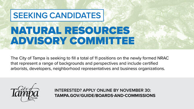 Natural Resources Planning | City of Tampa